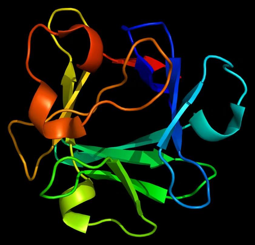 EGF + bFGF – Marseille Quincé